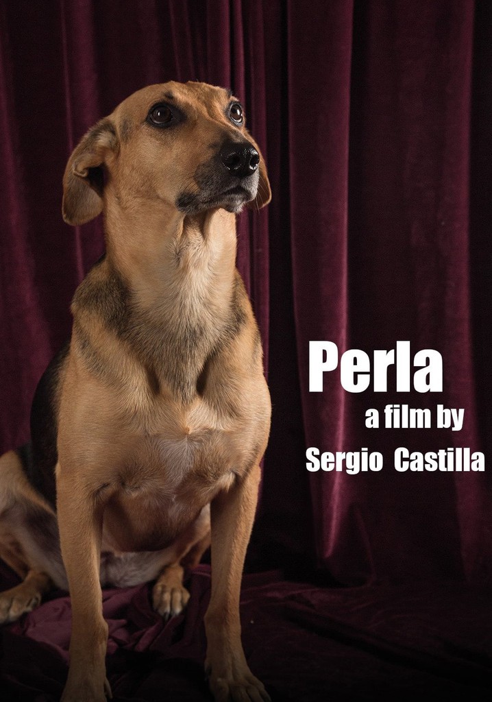Perla streaming: where to watch movie online?