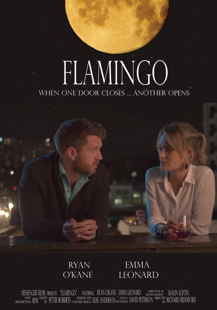 Flamingo - película: Ver online completa en español