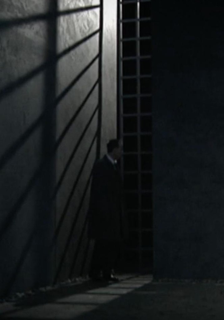 Albert Speer streaming: where to watch movie online?