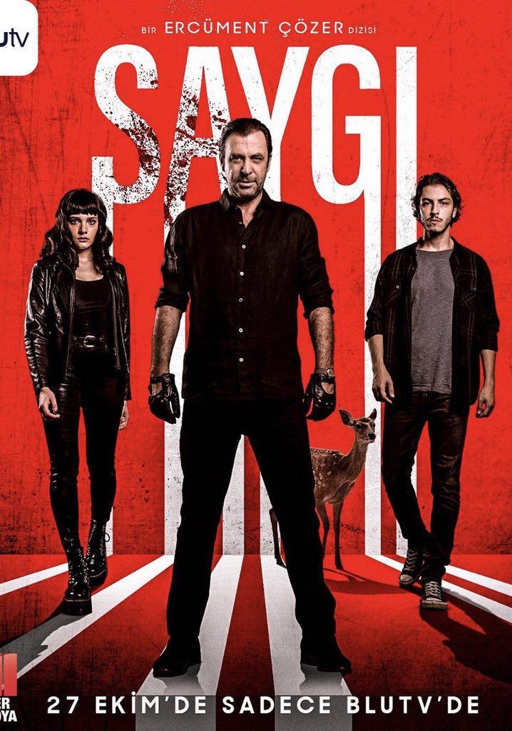 Saygi - Ver la serie online completas en español