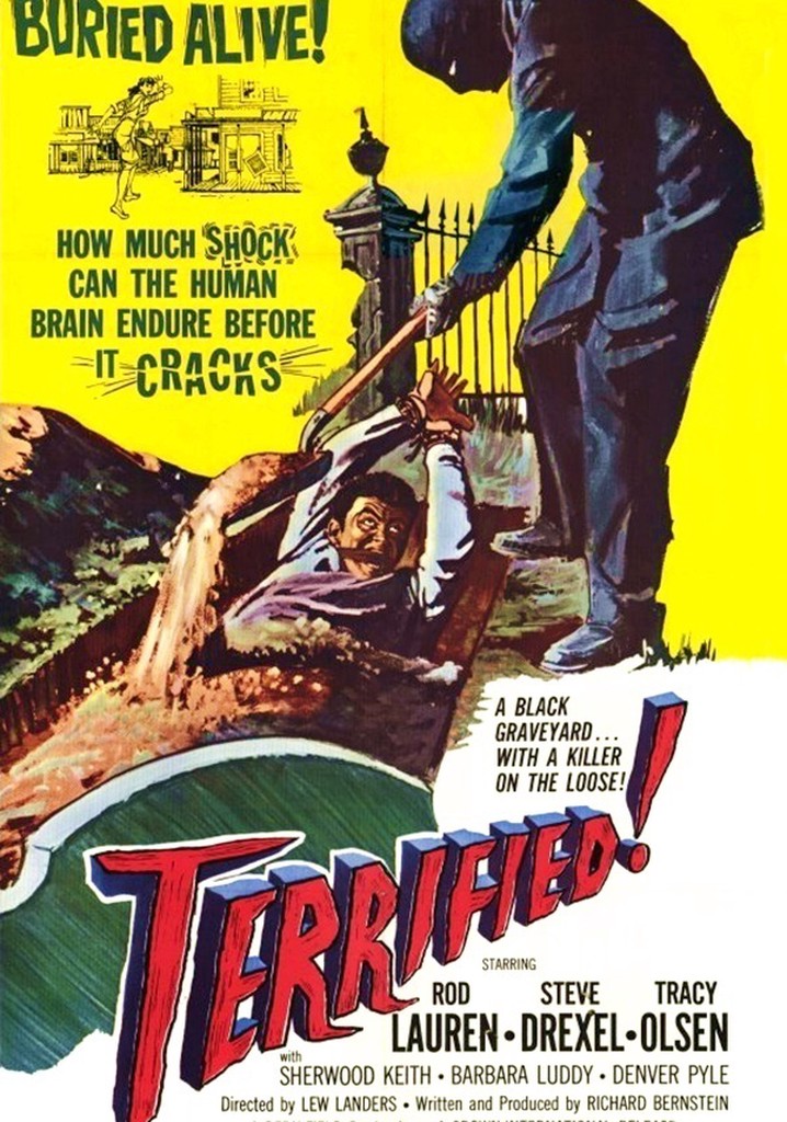 Terrified streaming: where to watch movie online?