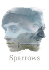 Sparrows 2015 store