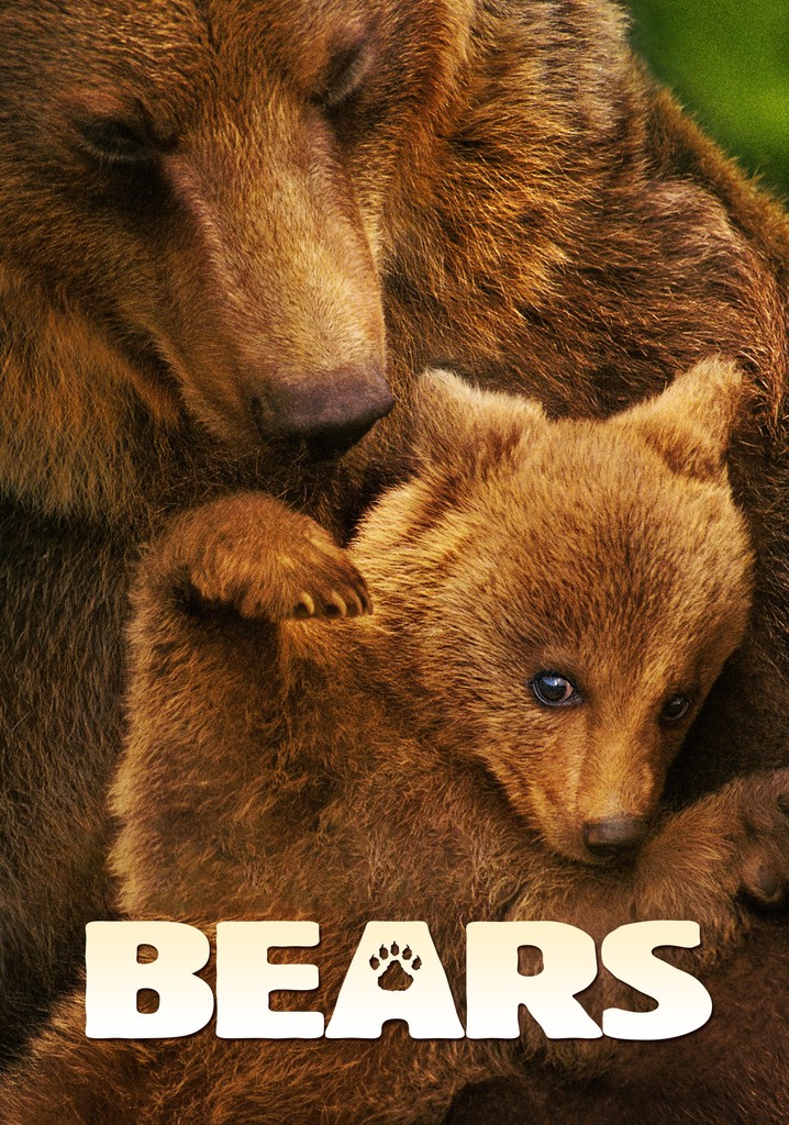 Bears - movie: where to watch stream online