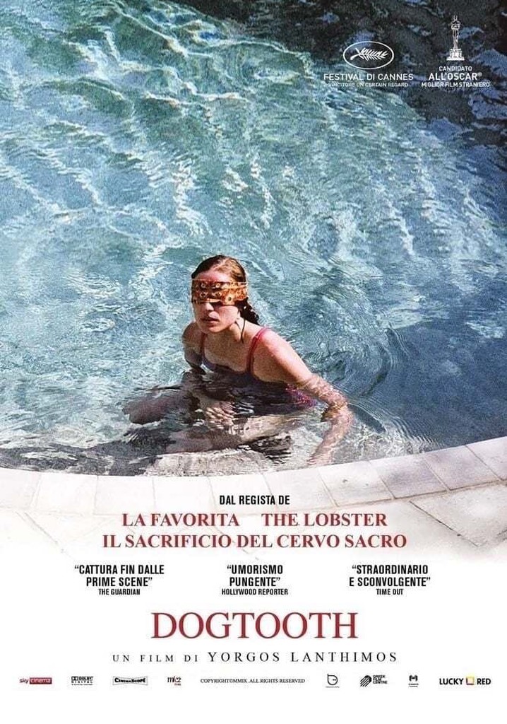 Dogtooth - film: dove guardare streaming online