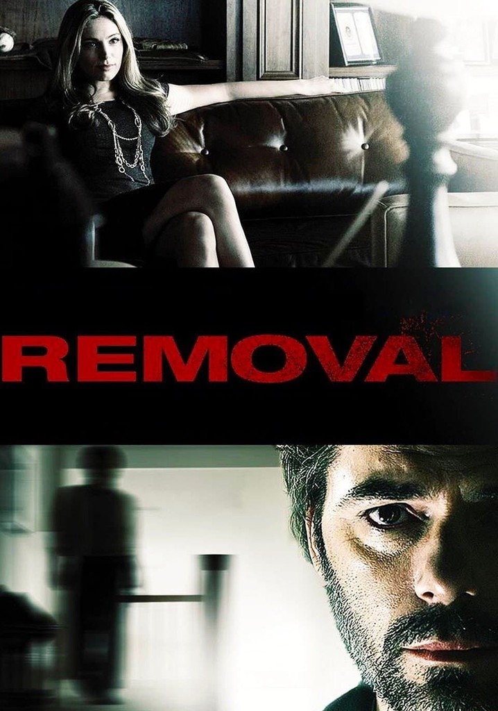 Removal streaming: where to watch movie online?