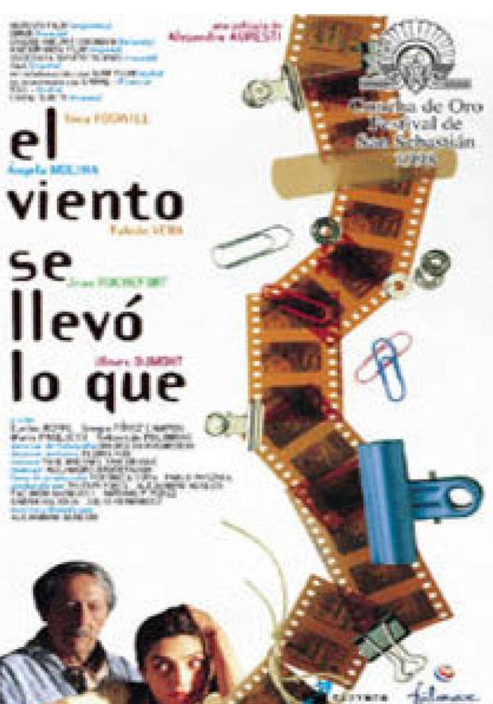 El viento se llevó lo qué - película: Ver online
