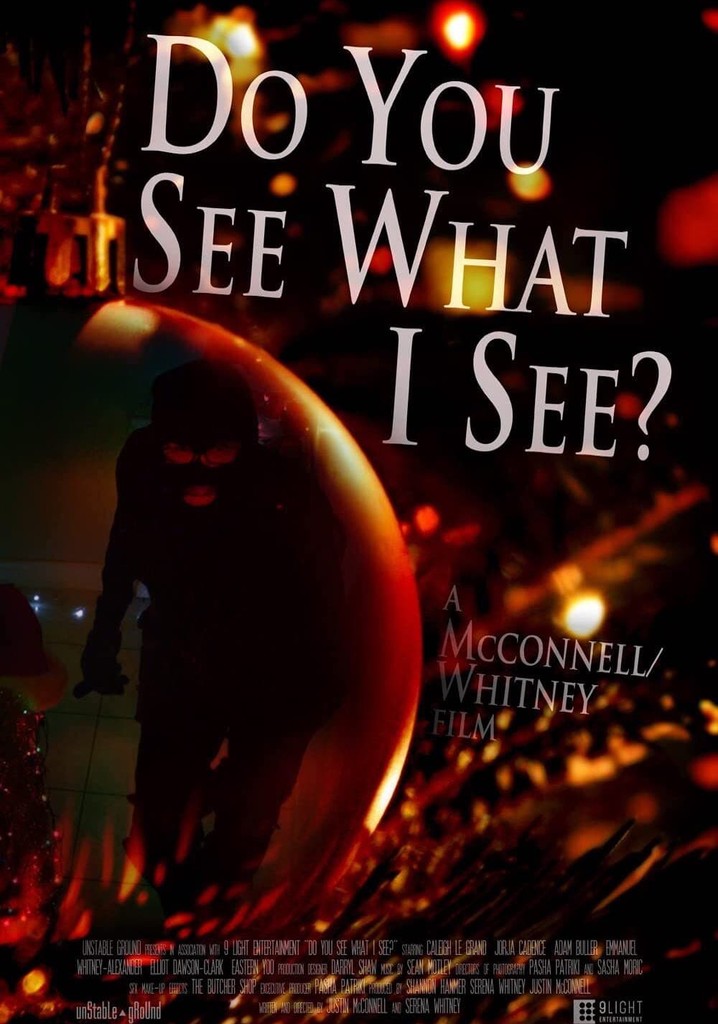 Do You See What I See? streaming: where to watch online?