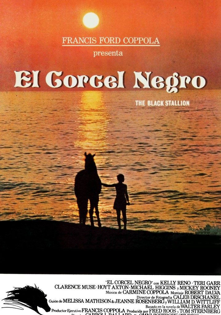 El corcel negro - película: Ver online en español