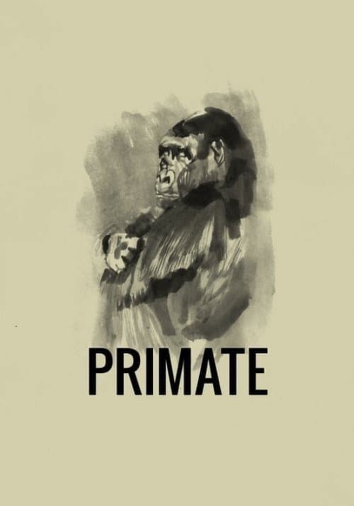 Primate streaming: where to watch movie online?