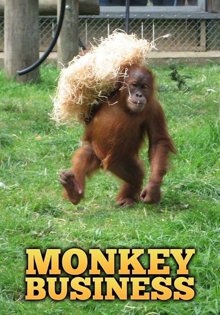 Monkey Business Season 1 - watch episodes streaming online