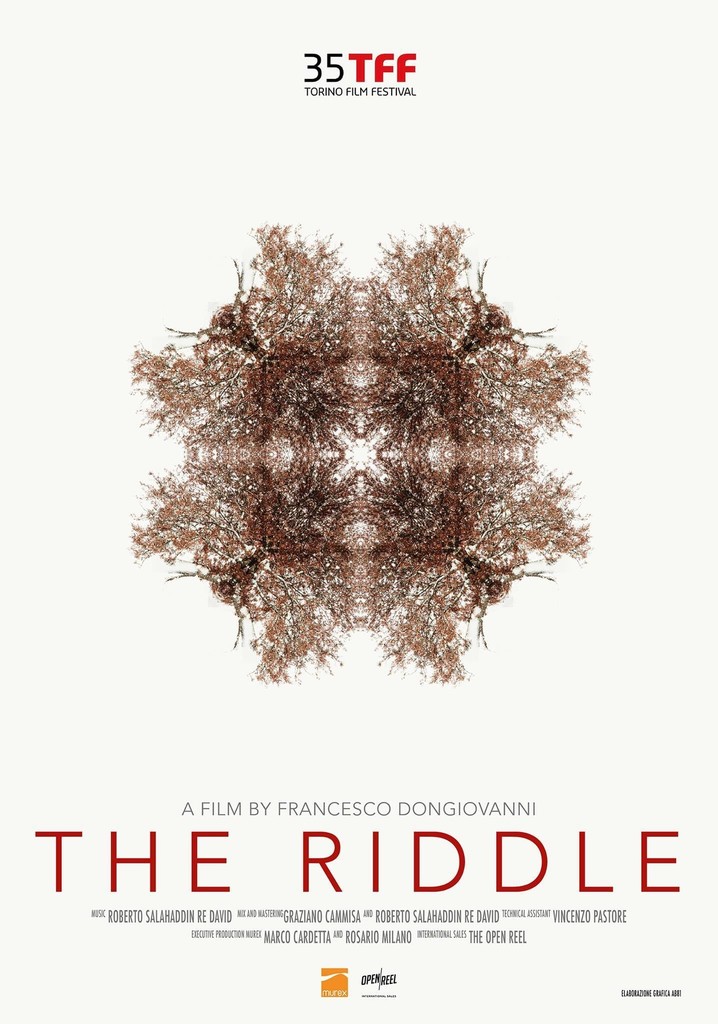 The Riddle filme - Veja onde assistir online