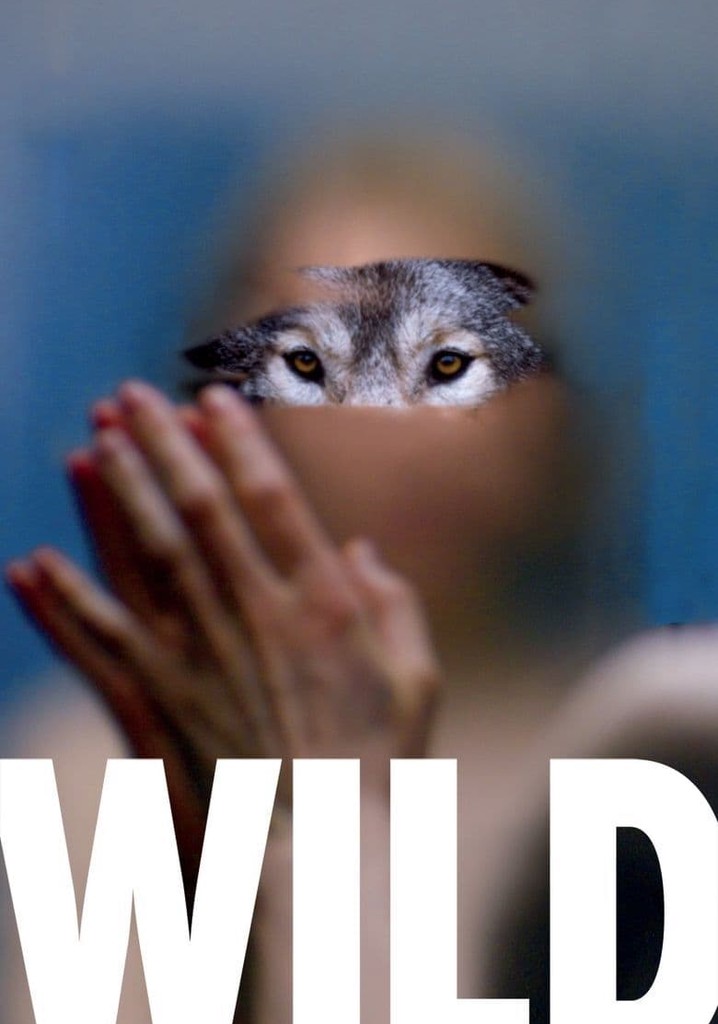 Wild streaming: where to watch movie online?