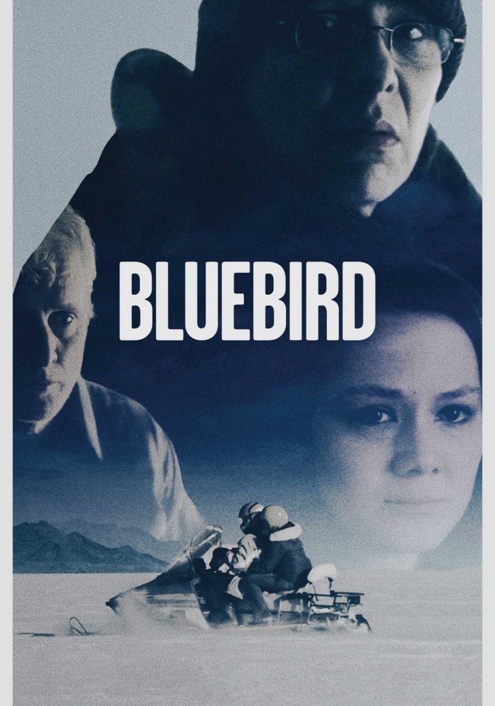 Bluebird Streaming Where To Watch Movie Online