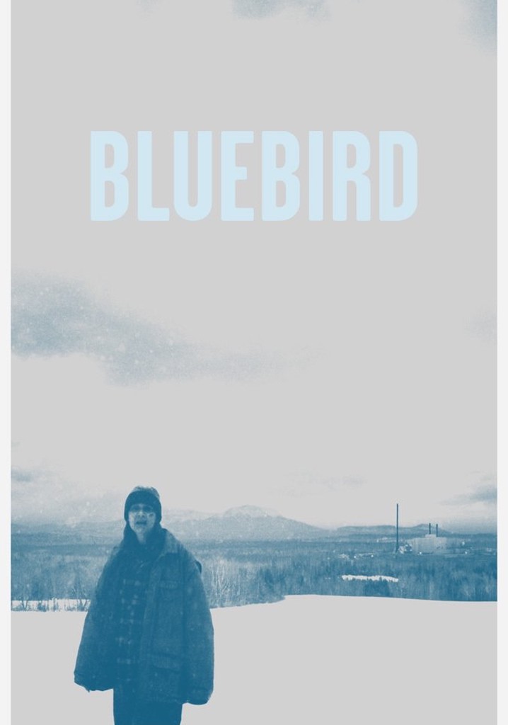 Bluebird streaming: where to watch movie online?