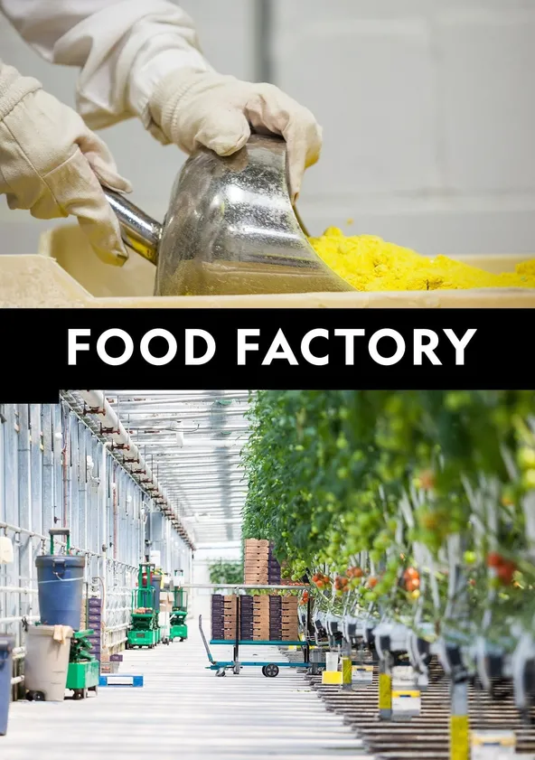 Food Factory - watch tv show streaming online
