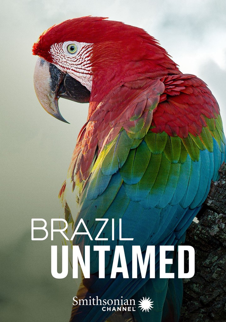 Brazil Untamed Staffel 1 - Jetzt Stream anschauen