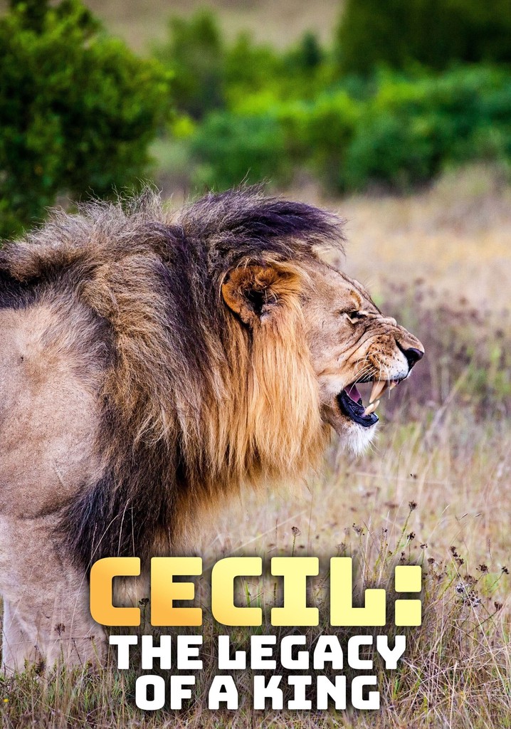 Cecil: The Legacy of a King streaming online