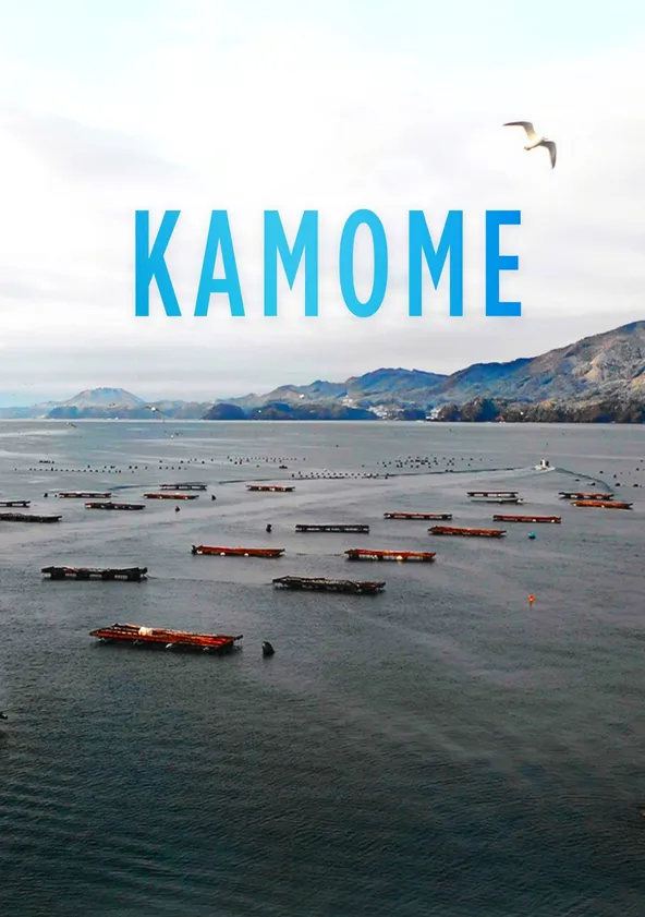 Kamome streaming: where to watch movie online?