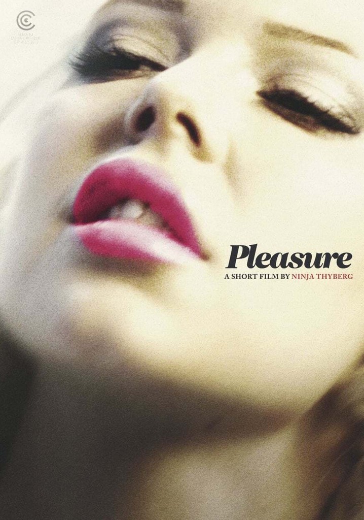 Pleasure - película: Ver online completas en español