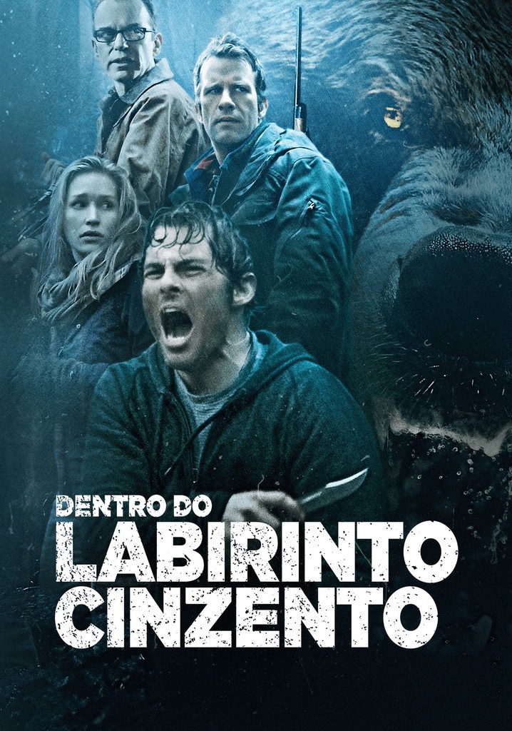 Dentro do Labirinto Cinzento filme - assistir