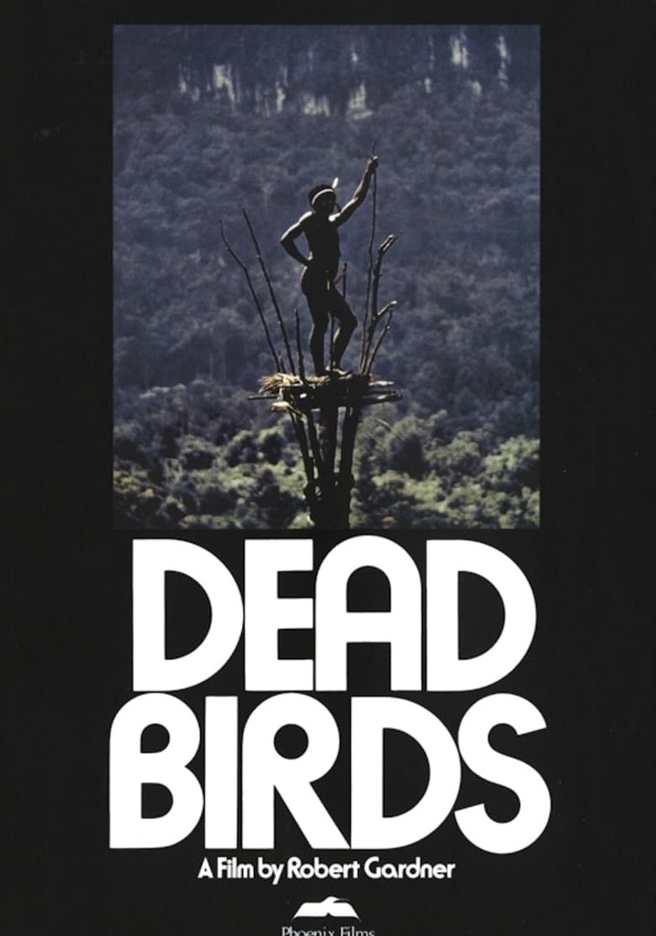 Dead Birds streaming: where to watch movie online?