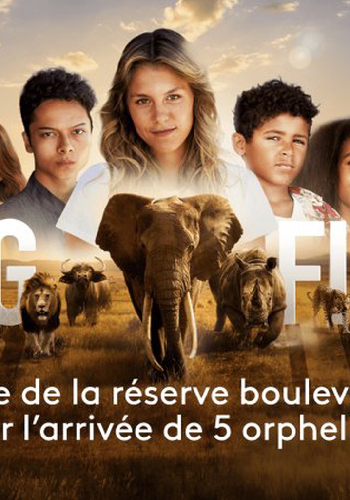 Où regarder la série Big Five en streaming