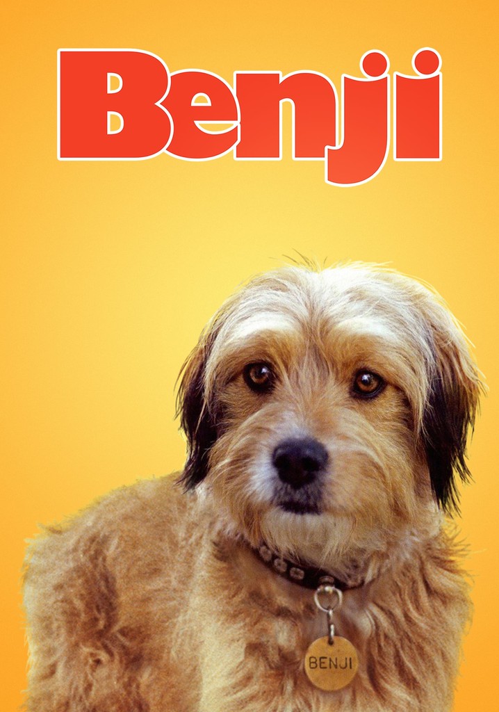 Benji streaming: where to watch movie online?