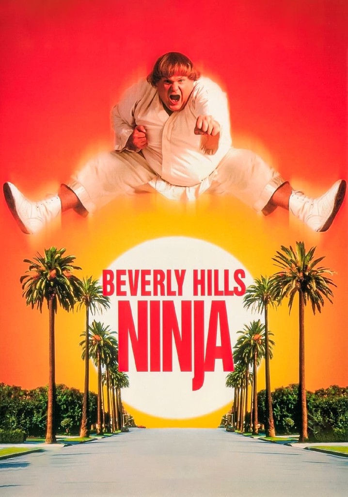 Beverly Hills Ninja streaming: where to watch online?