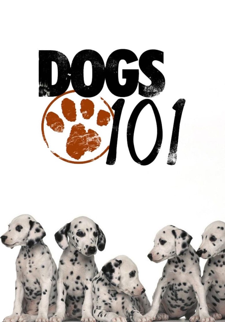 Dogs 101 - watch tv show streaming online