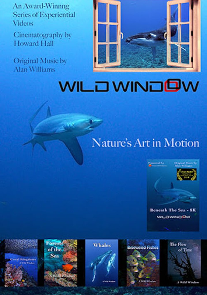 Donde assistir Wild Window - ver séries online
