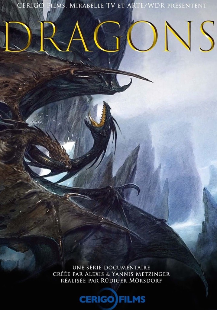Où regarder la série Dragons ! en streaming