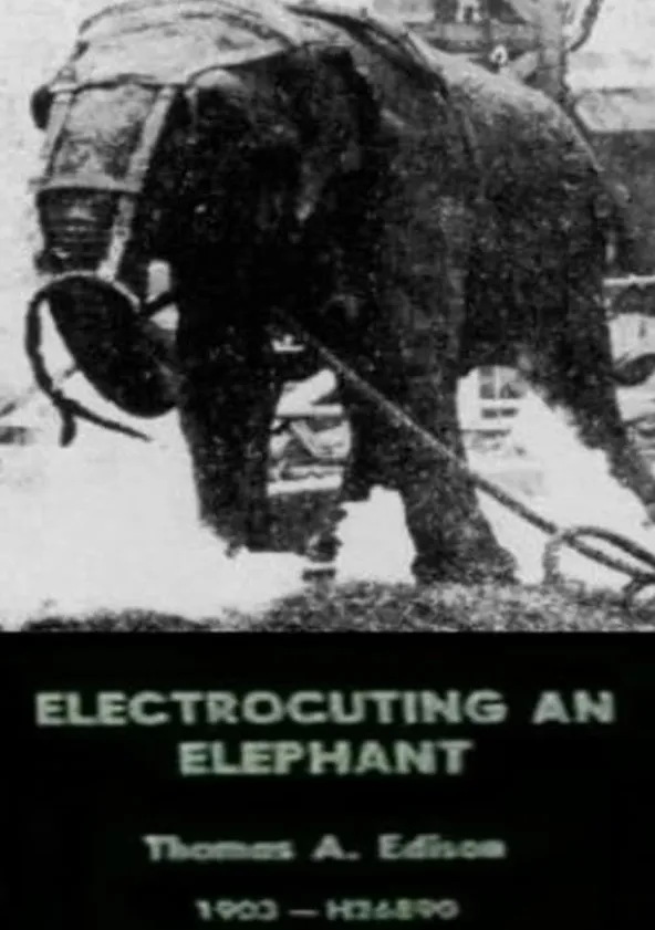 Electrocuting an Elephant streaming: watch online