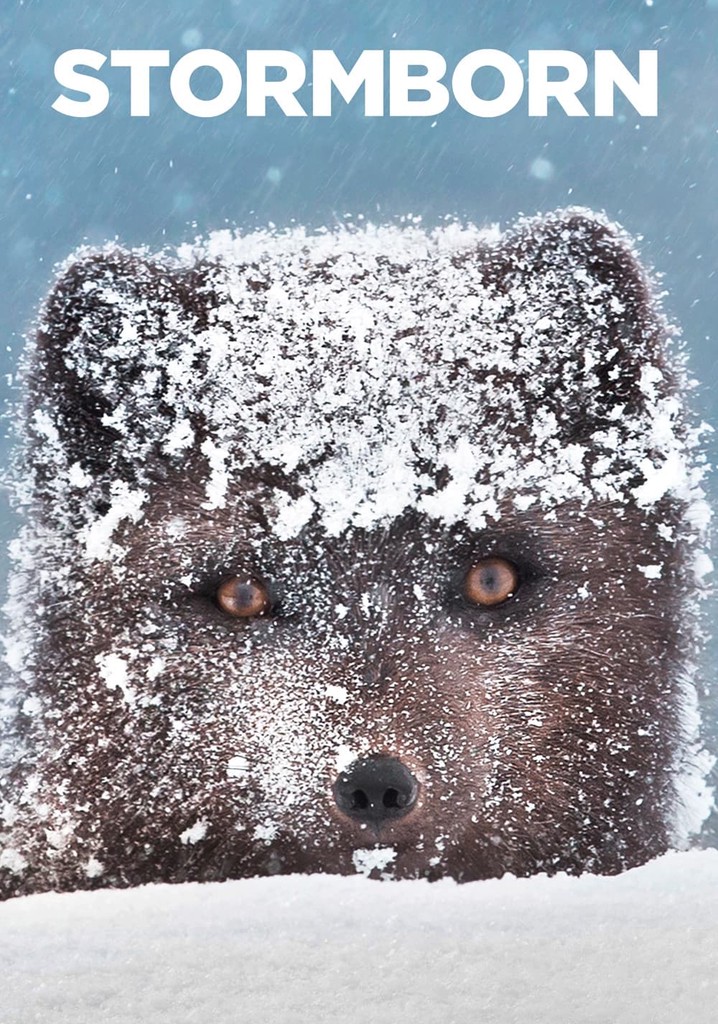 Stormborn - Ver la serie online completas en español