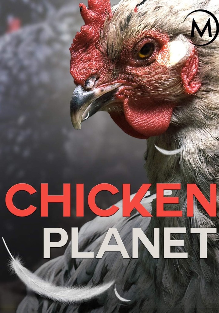 Chicken Planet streaming: where to watch online?