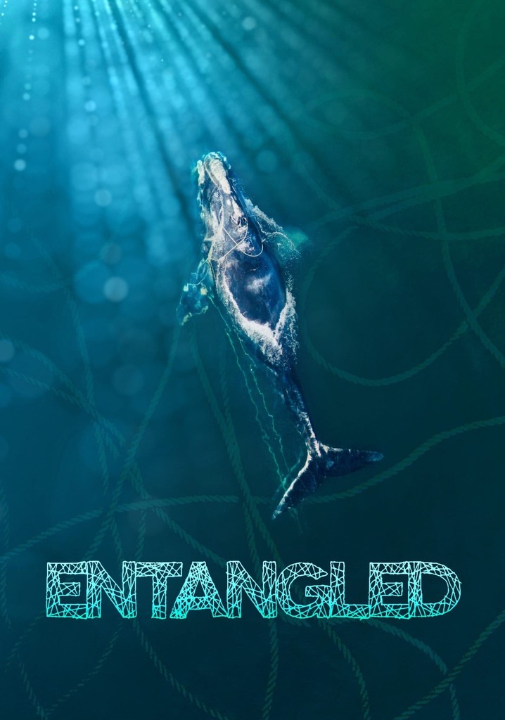 Entangled streaming: where to watch movie online?