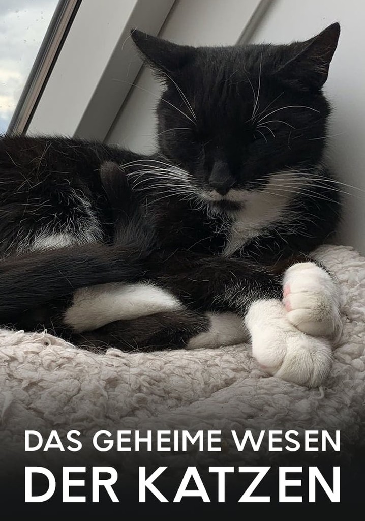 Das geheime Wesen der Katzen - Stream: Online anschauen