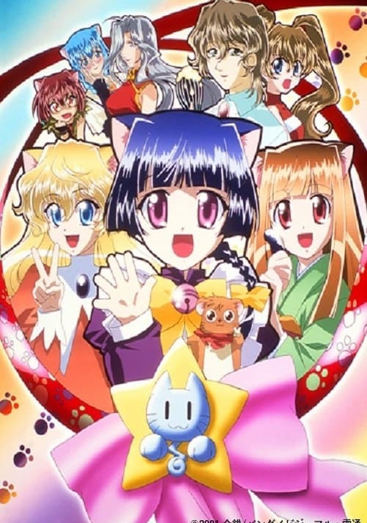 Magical Meow Meow Taruto Season 1 - episodes streaming online