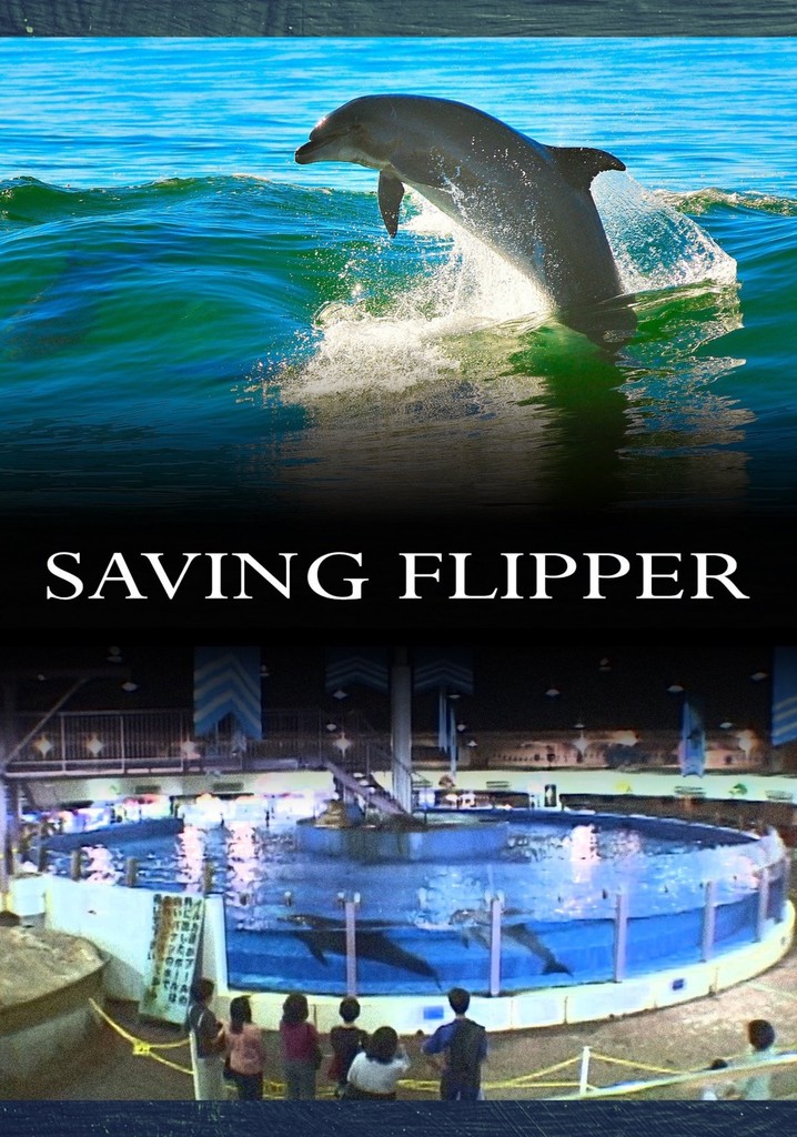 Saving Flipper - movie: watch stream online