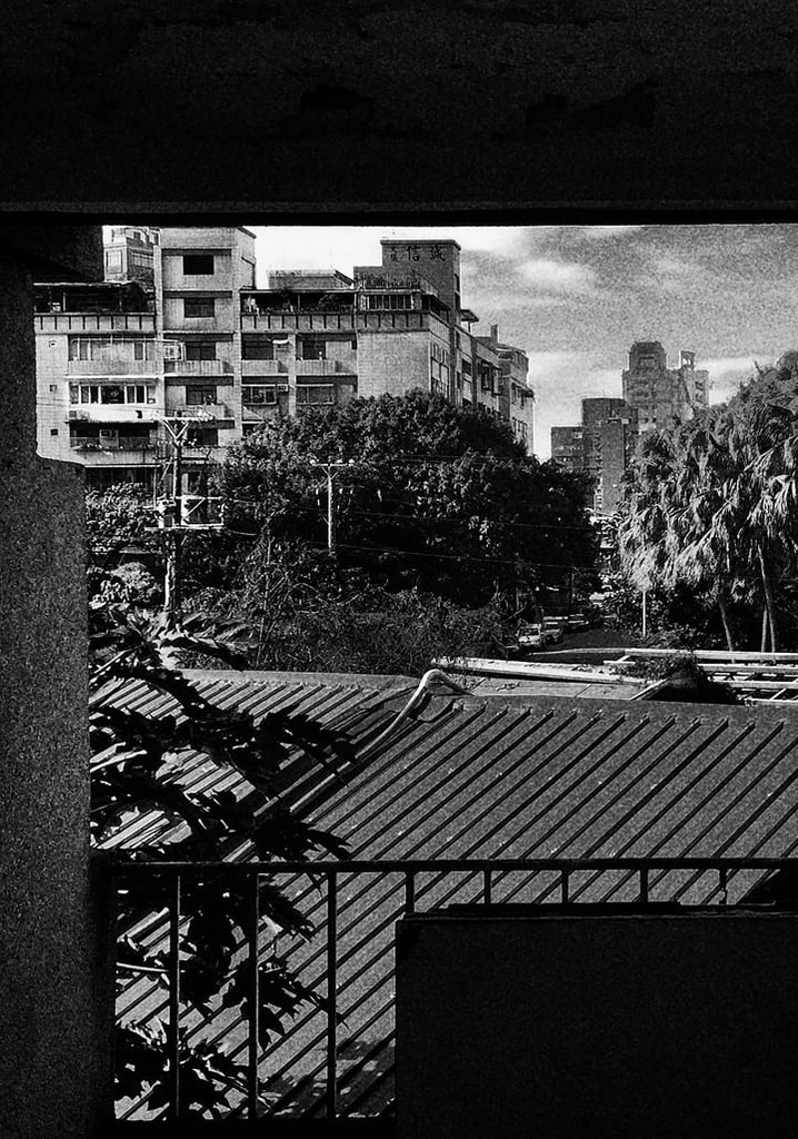 Flow streaming: where to watch movie online?