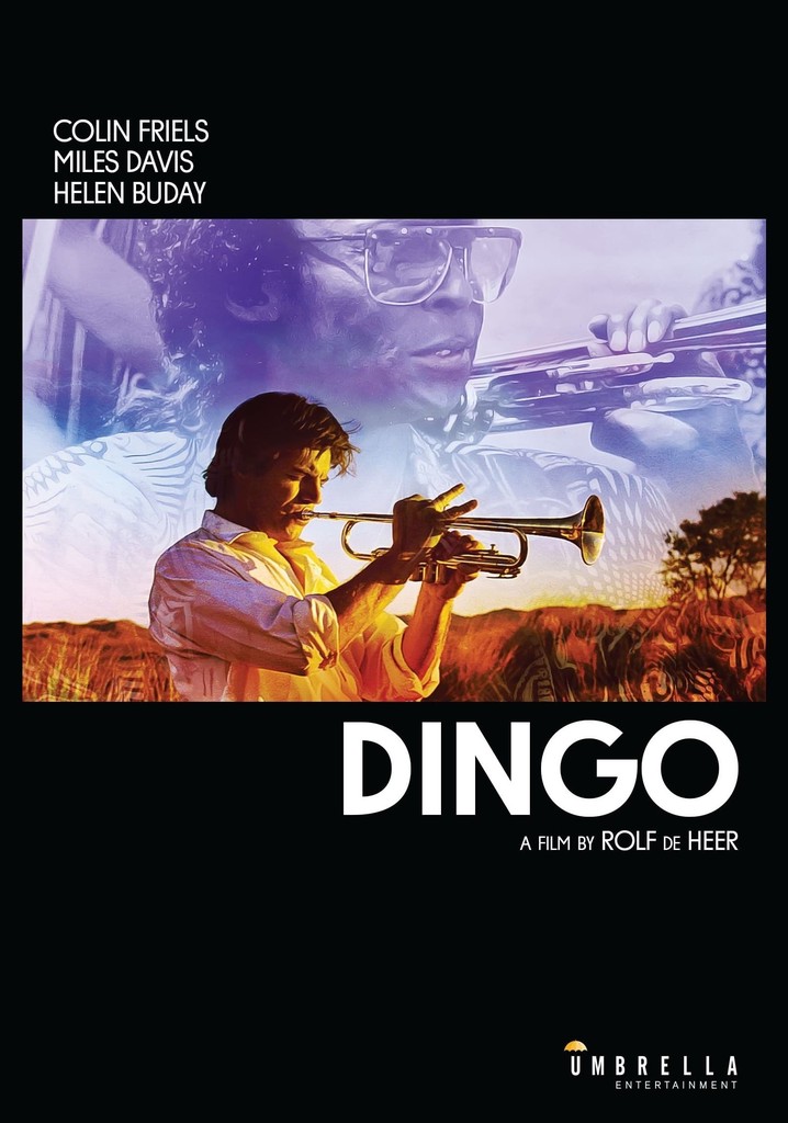 Dingo streaming: where to watch movie online?