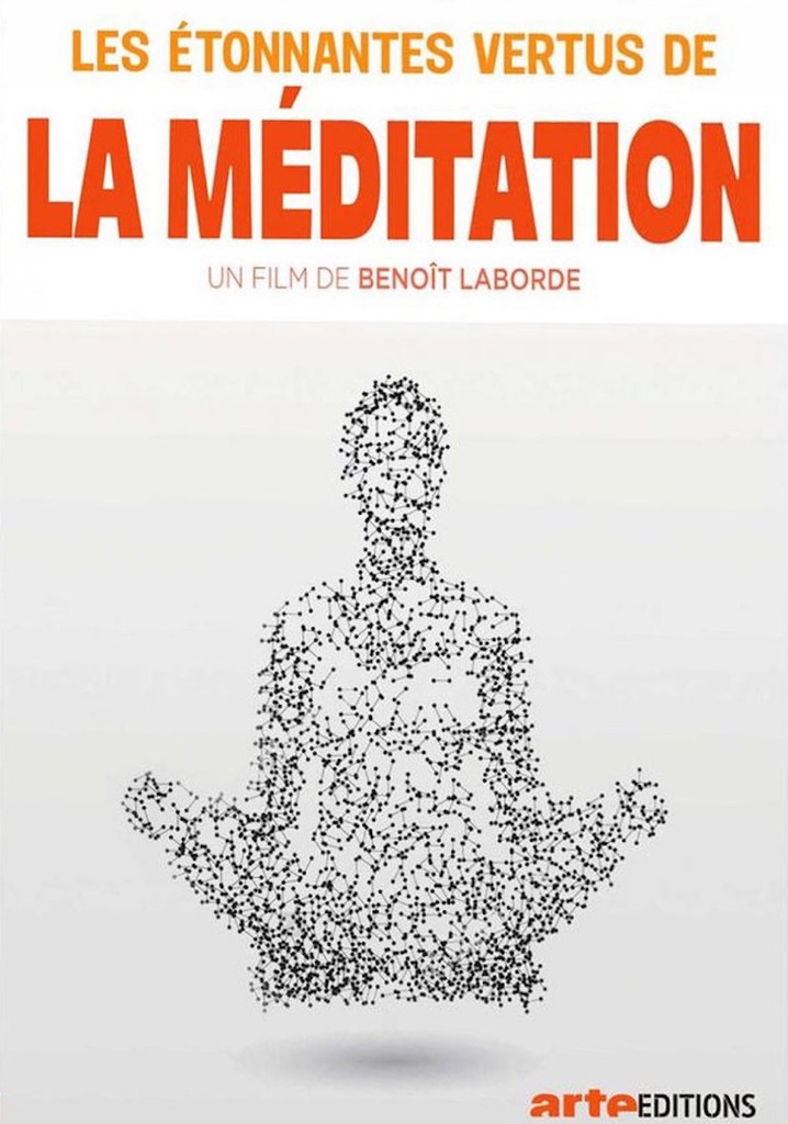 Les étonnantes Vertus De La Méditation En Streaming