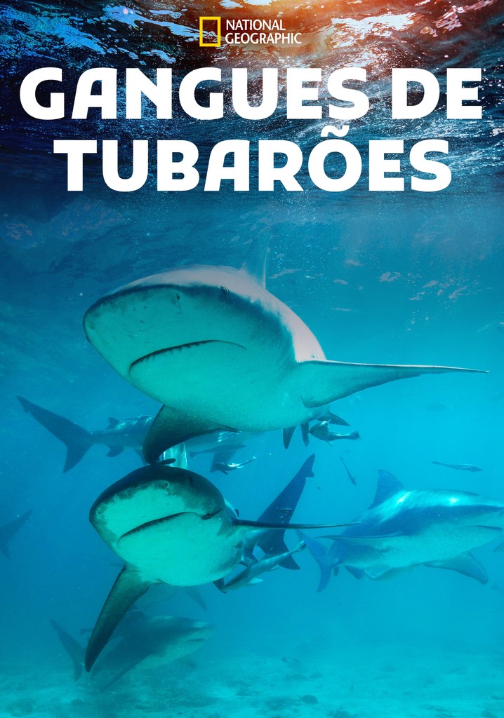 Gangues de Tubarões filme - Veja onde assistir