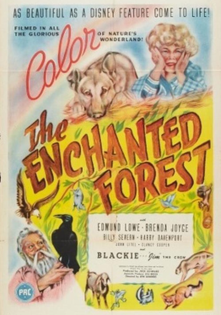 The Enchanted Forest streaming: where to watch online?