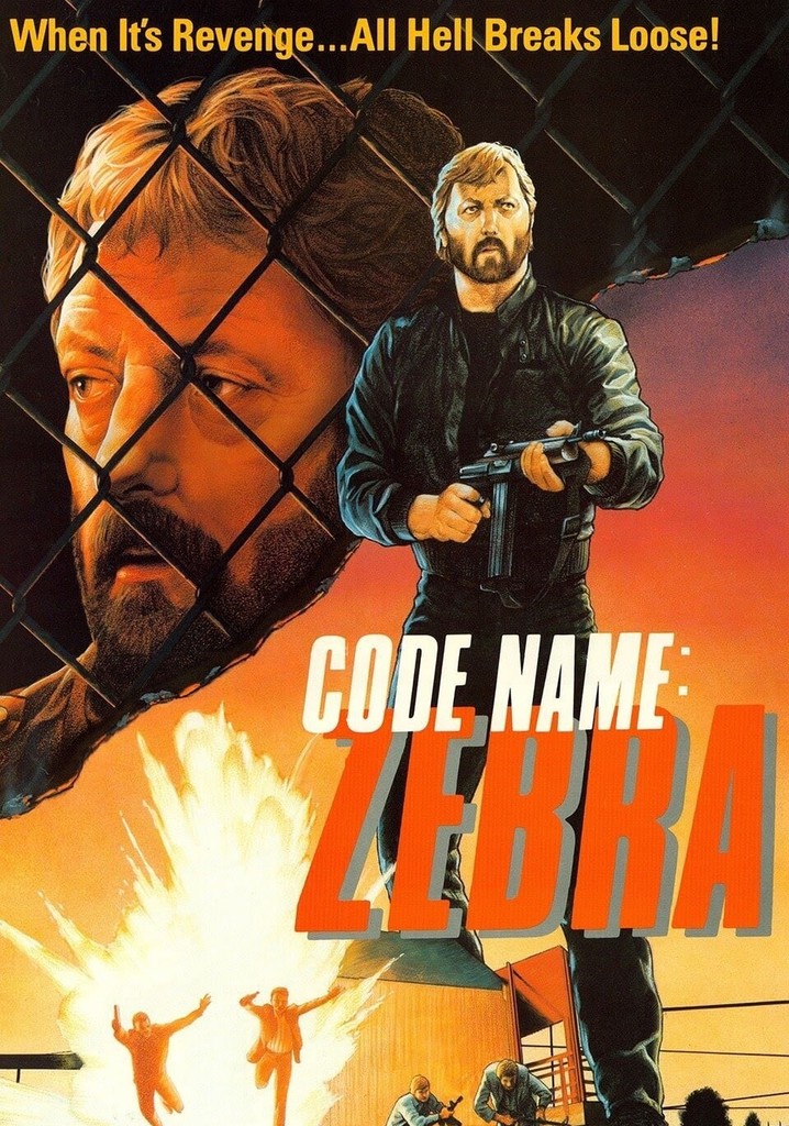Code Name: Zebra streaming: where to watch online?