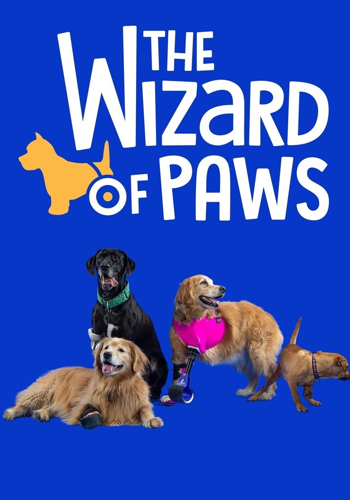 The Wizard of Paws Season 1 - watch episodes streaming online