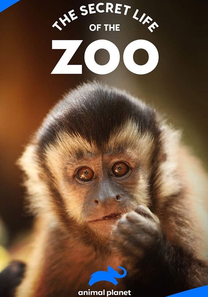 The Secret Life of the Zoo Season 1 - episodes streaming online