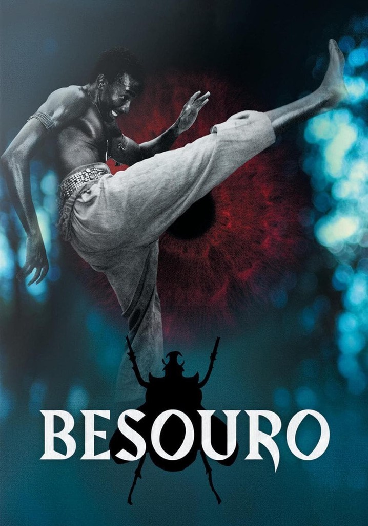 The Assailant streaming: where to watch online?