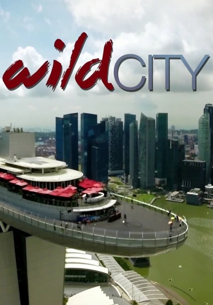 Wild City temporada 1 - Ver todos los episodios online