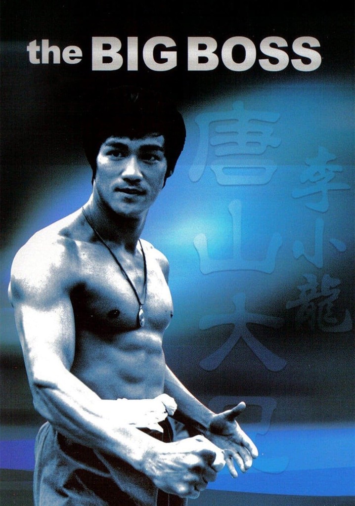 The Big Boss - movie: where to watch streaming online