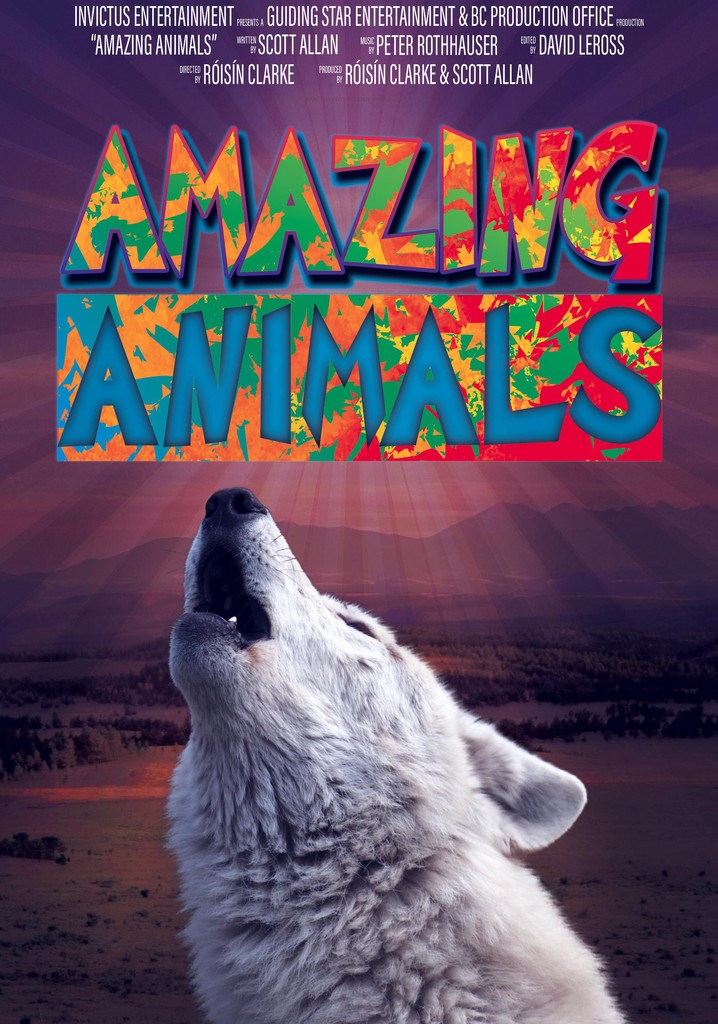 Amazing Animals streaming: where to watch online?